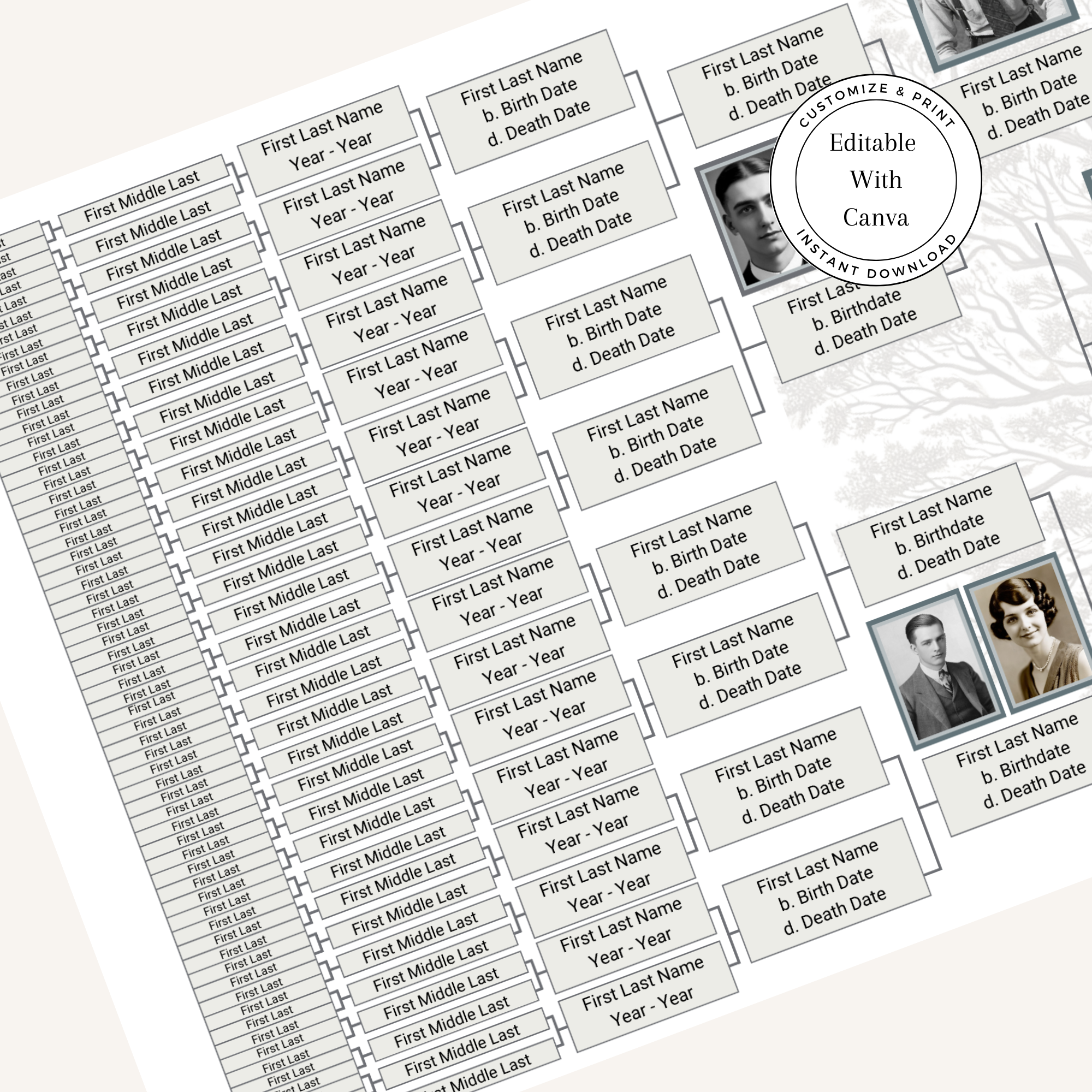 7-Generation Family Mirror Trees - Genealogy By Design