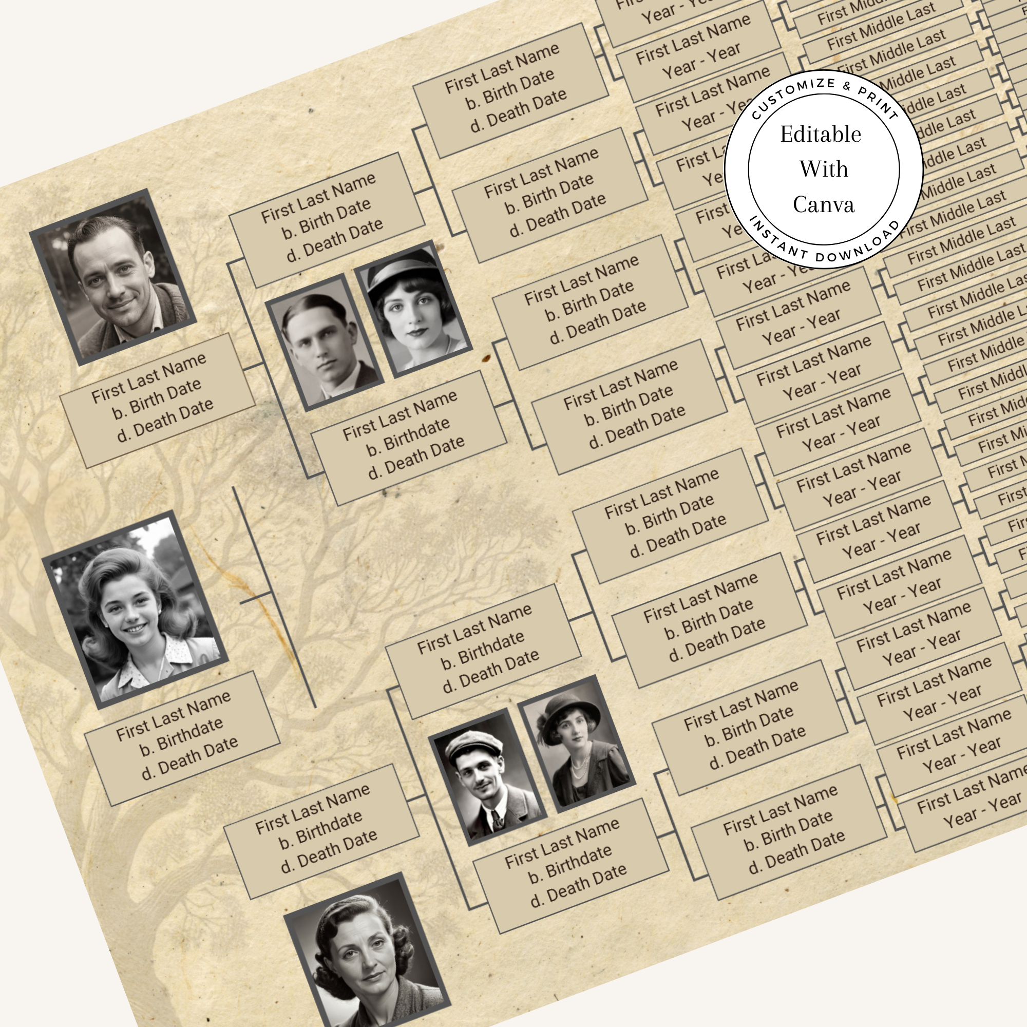 7-Generation Family Mirror Trees - Genealogy By Design