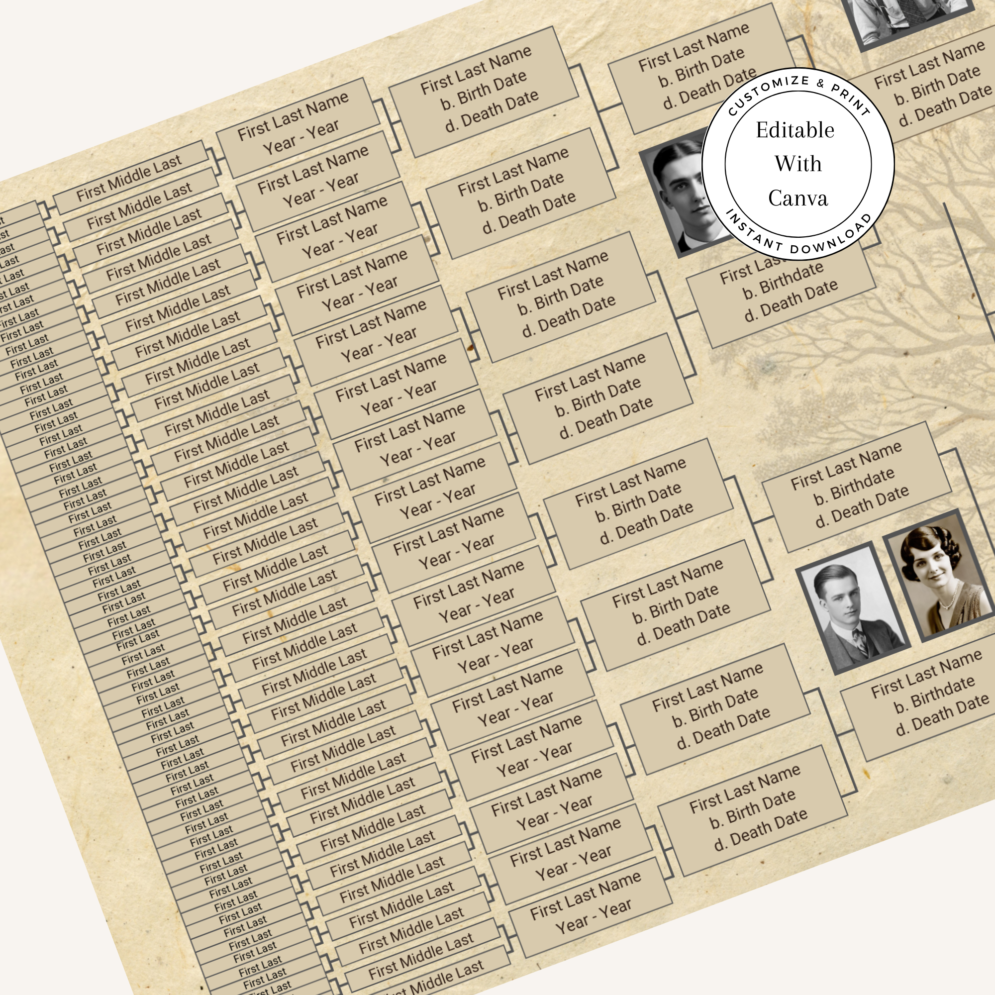 7-Generation Family Mirror Trees - Genealogy By Design