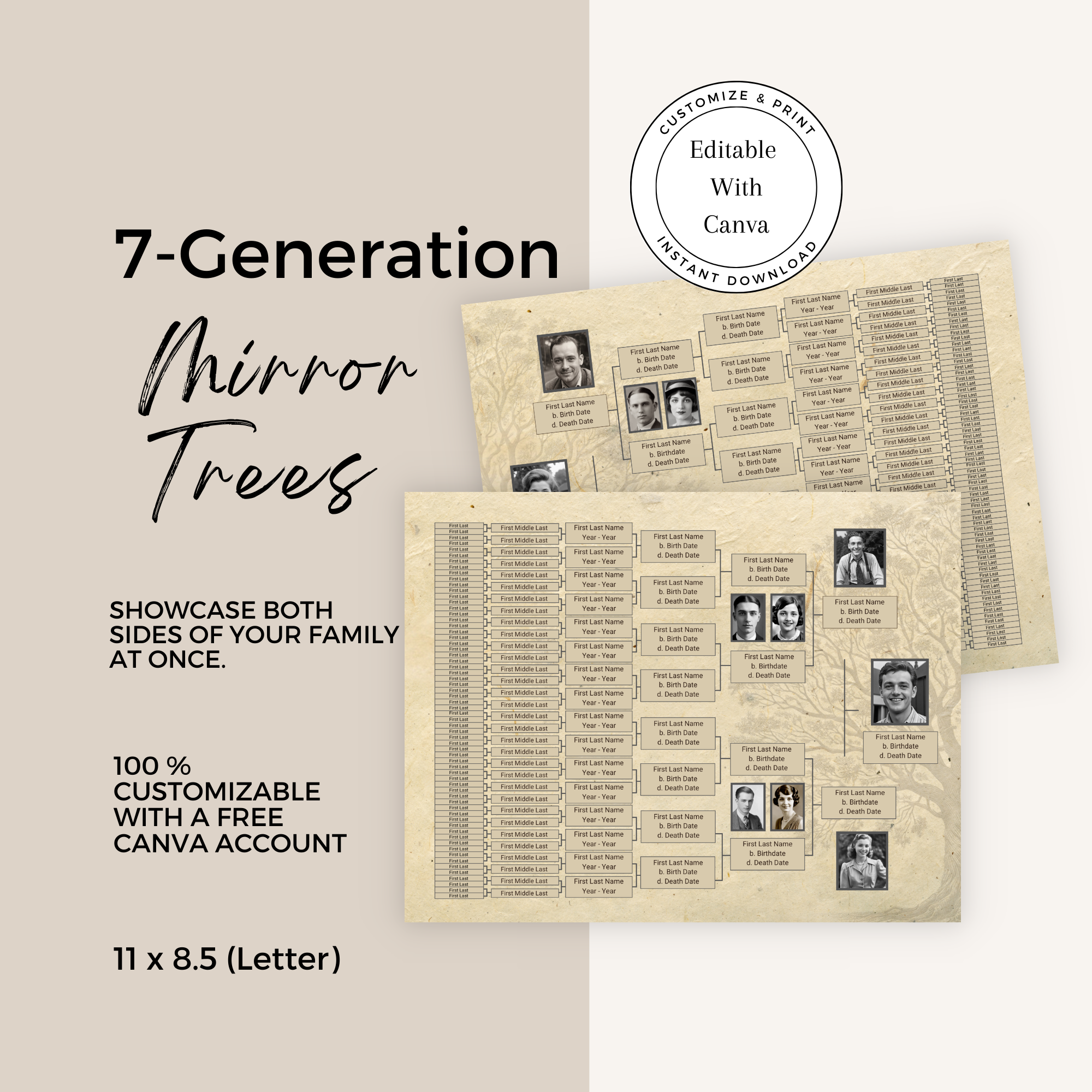 7-Generation Family Mirror Trees - Genealogy By Design